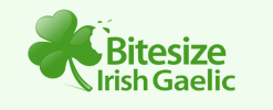 Review: Bitesize Irish Gaelic