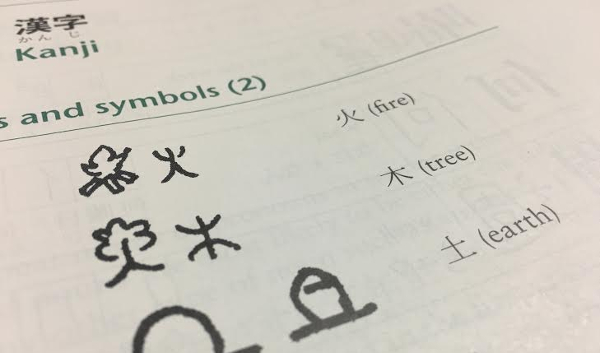 Honest Review of Nakama 1 For Japanese, Third Edition